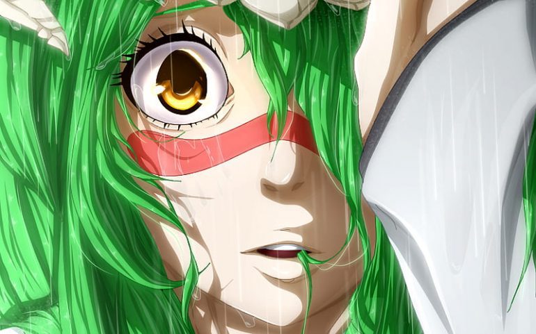 Who Is Nel From Bleach? All To Know About Her — OtakuKart