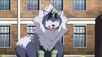 Best Wolf Characters in Anime That Have Remained Memorable — OtakuKart
