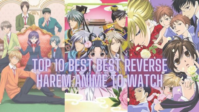 Top 10 Best Reverse Harem Anime That You Should Definitely Watch ...