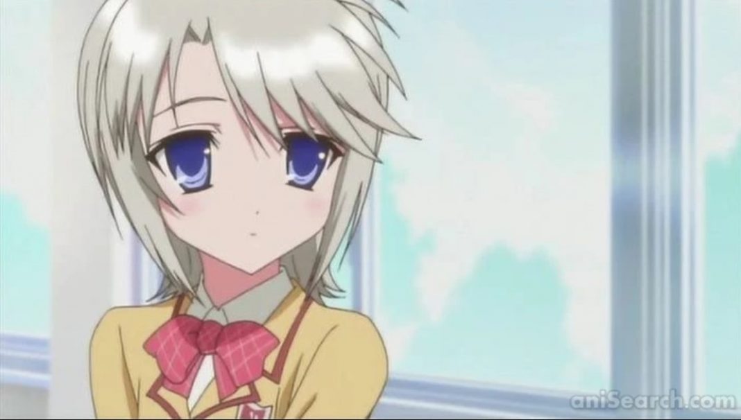 Best Wolf Characters in Anime That Have Remained Memorable — OtakuKart