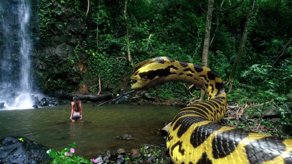 40 Best Snake Movies of All Time