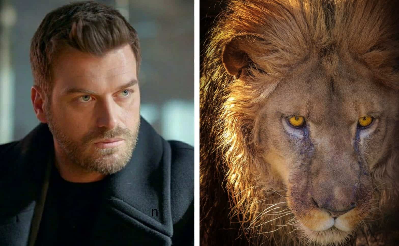 25 Interesting Turkish Series ‘AILE’ Facts — OtakuKart