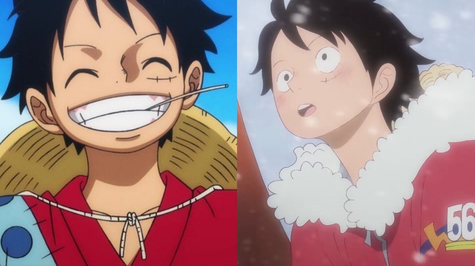 The Real Reason Luffy’s Devil Fruit Was Hidden by the World Government