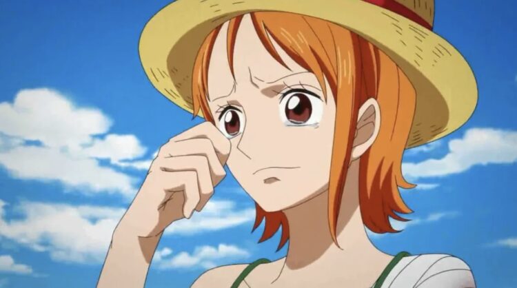 The Real Reason Why Nami Wears Revealing Outfits — OtakuKart