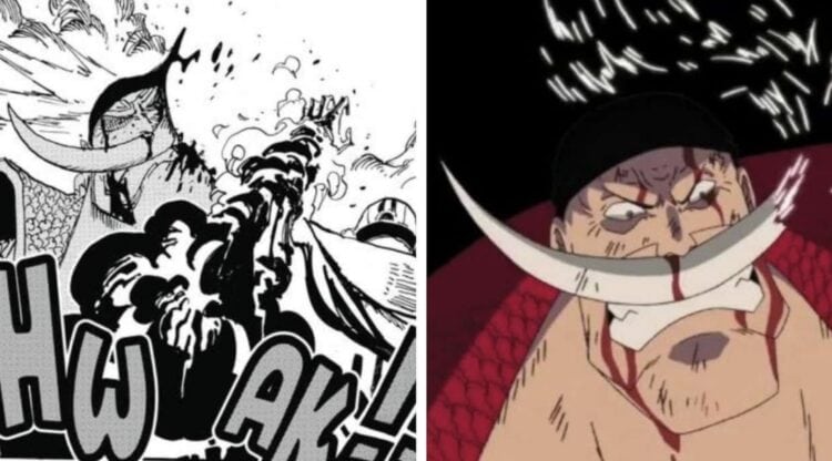 15 Disturbing ‘One Piece’ Scenes Too Intense for the Anime — OtakuKart