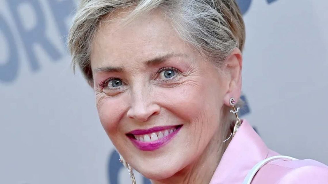Sharon Stone Reveals Heartbreaking Reality of Losing Favor in Hollywood ...