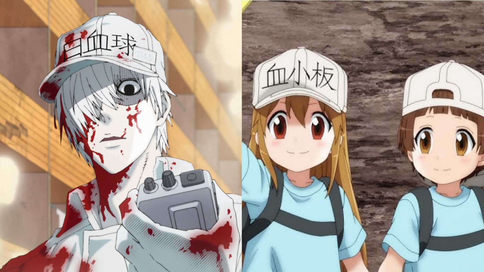 Trailer For The Live-Action Adaptation Of Cells At Work Has Dropped ...