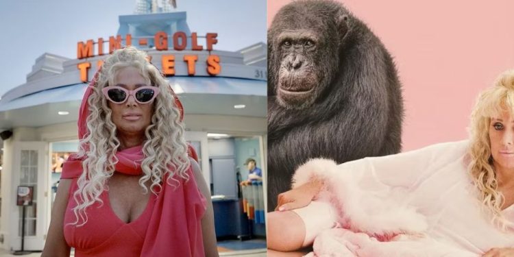 Exotic Animal Fight Woman Battles to Keep Beloved Chimpanzee — OtakuKart