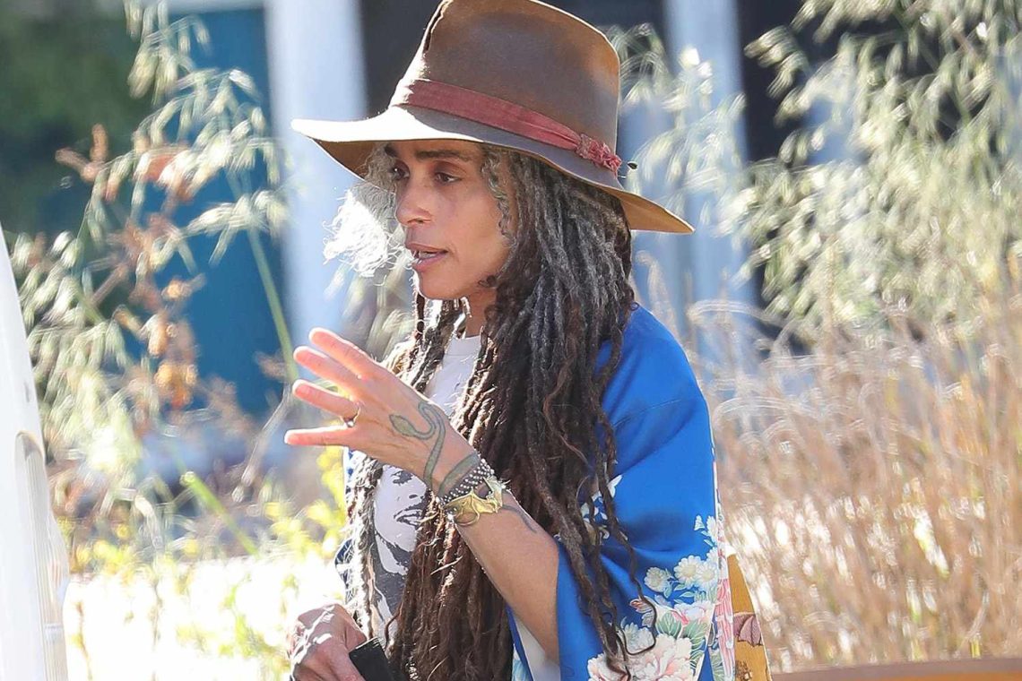 Who Is Lisa Bonet Married To? Divorce from Jason Momoa Explained ...