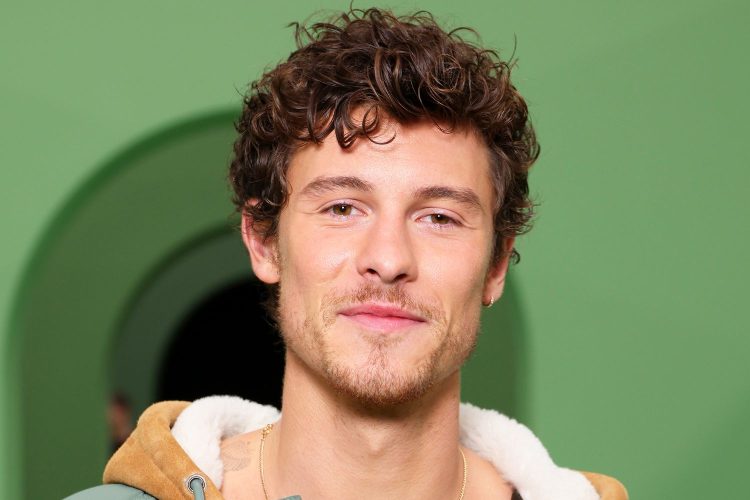 Who Is Shawn Mendes Dating? Recent Romance Insights — OtakuKart
