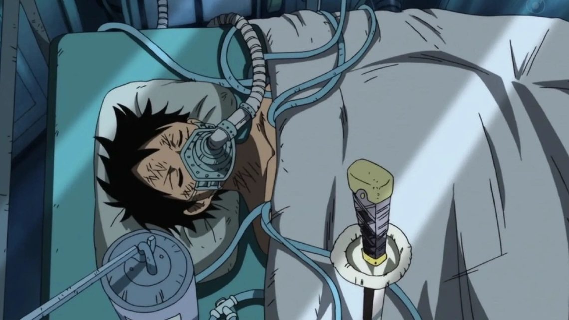 One Piece Anime Goes on Two-Week Hiatus Mid-Arc — Recap Ep Hits Instead ...